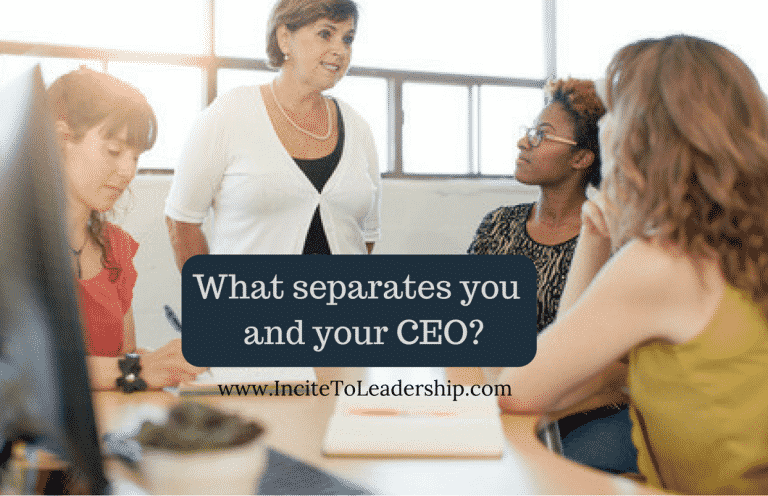 What's different between you and your CEO? - Incite to Leadership